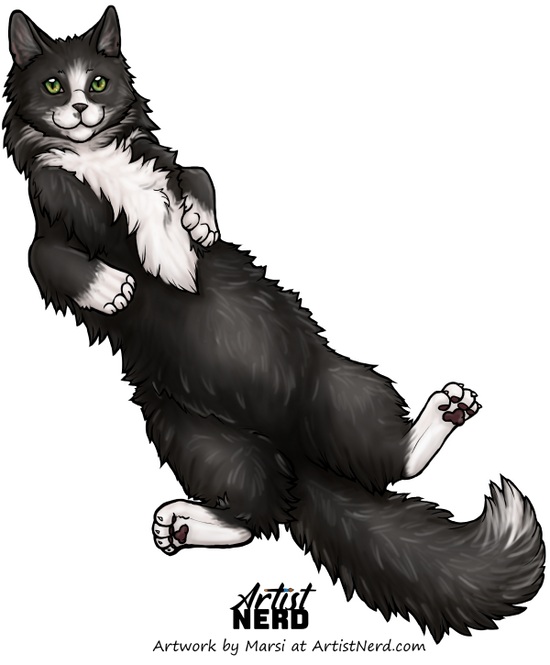 Custom Fluffy Cat Belly Digital Image YCH Your-cat-here Digital Art ...